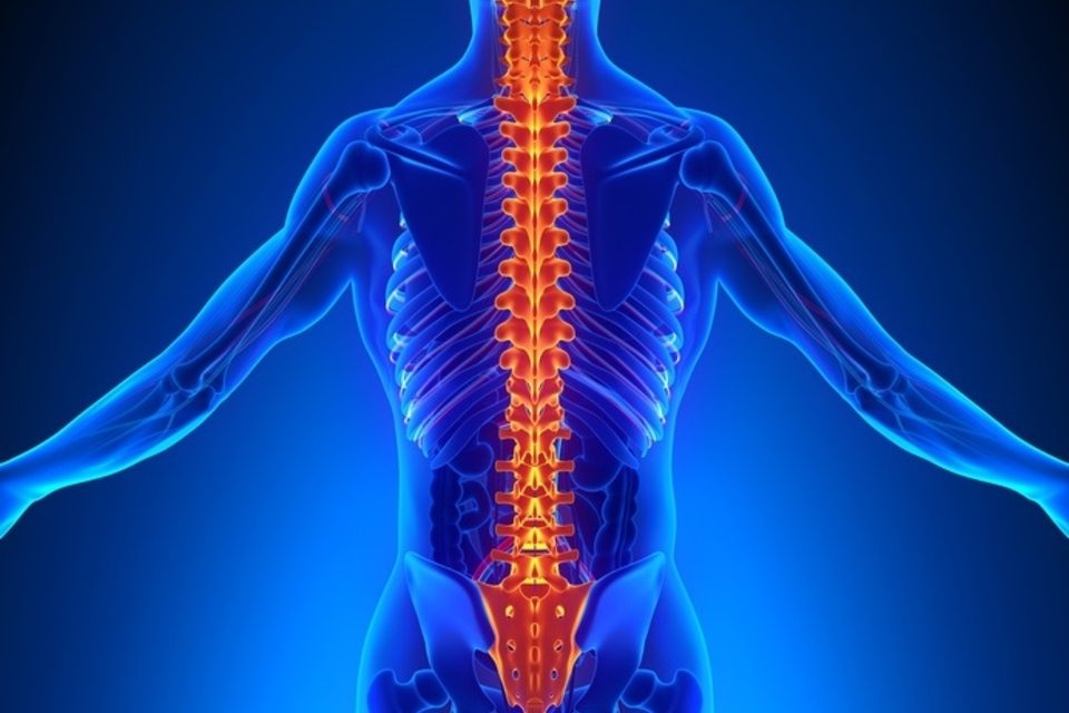 Backbone